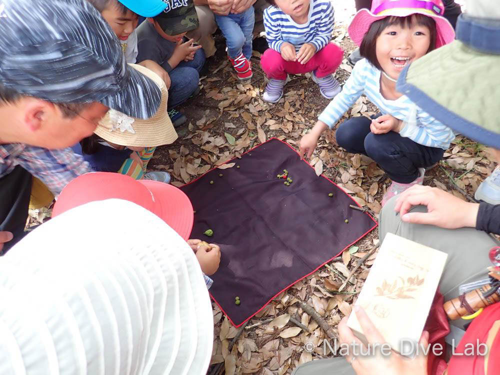 th_P5260112 | Nature Dive Lab（ネイチャーダイブラボ）