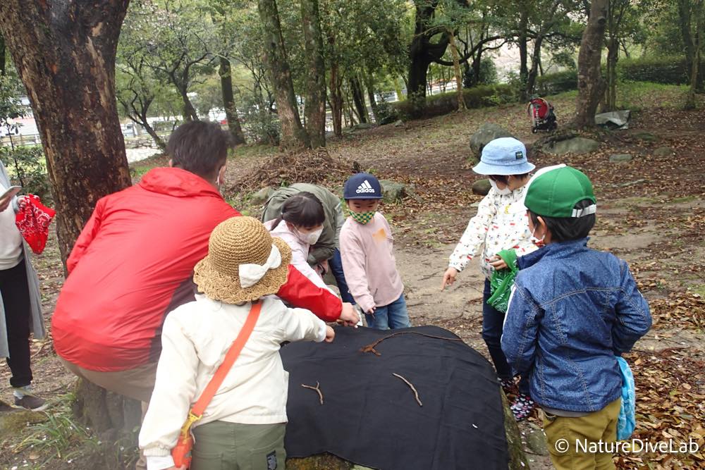 th_P3280049 | Nature Dive Lab（ネイチャーダイブラボ）