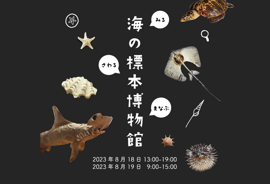 【終了】8/18-19 海の標本博物館 | Nature Dive Lab（ネイチャーダイブラボ）
